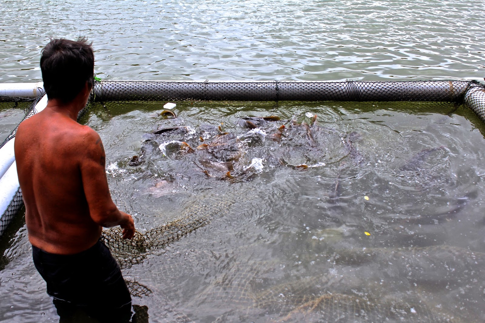Shermalyn Photography: Pasir Ris Fishing Pond