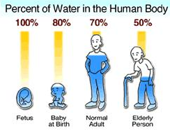 Importance and Main Function of Water in Human Body | Education and ...