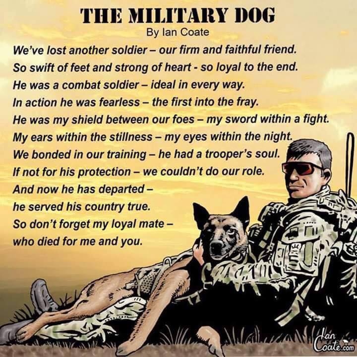 "FIND THE WAY IN YOUR LIFE.": "A Tribute to K-9 Heroes, fallen soldiers ...