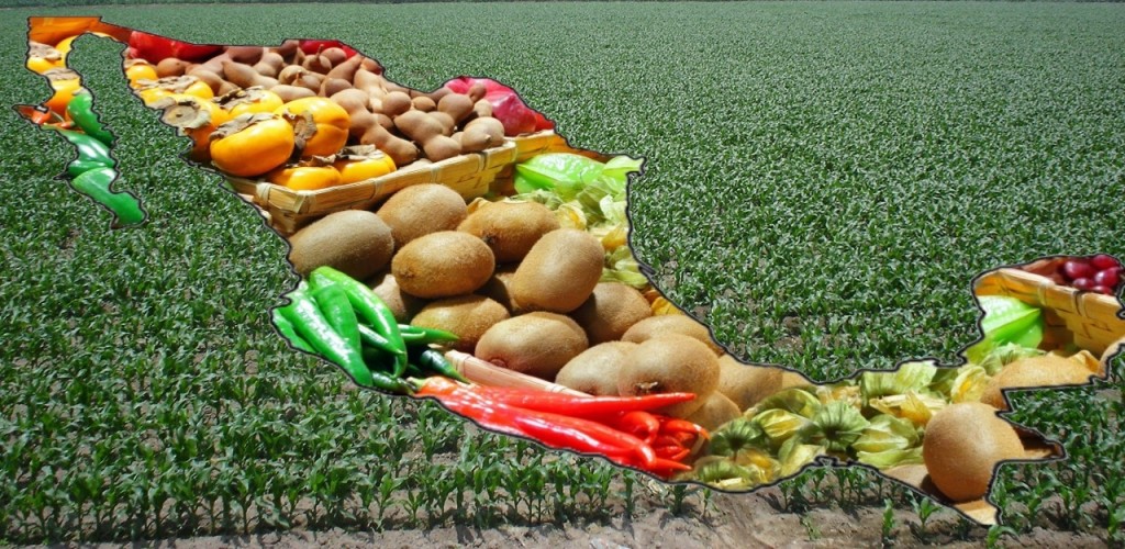 Marco Común Agropecuario: Marco Común Agropecuario