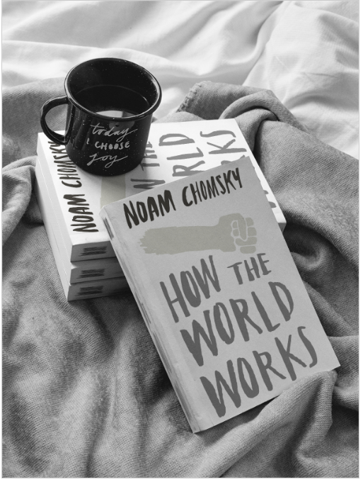 How the World Works By Noam Chomsky - Online Book Shop.Pk