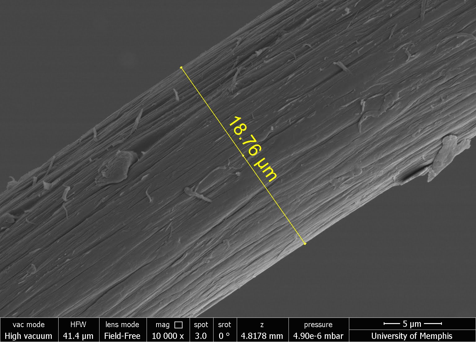 Weaving a Life: Til It’s Done