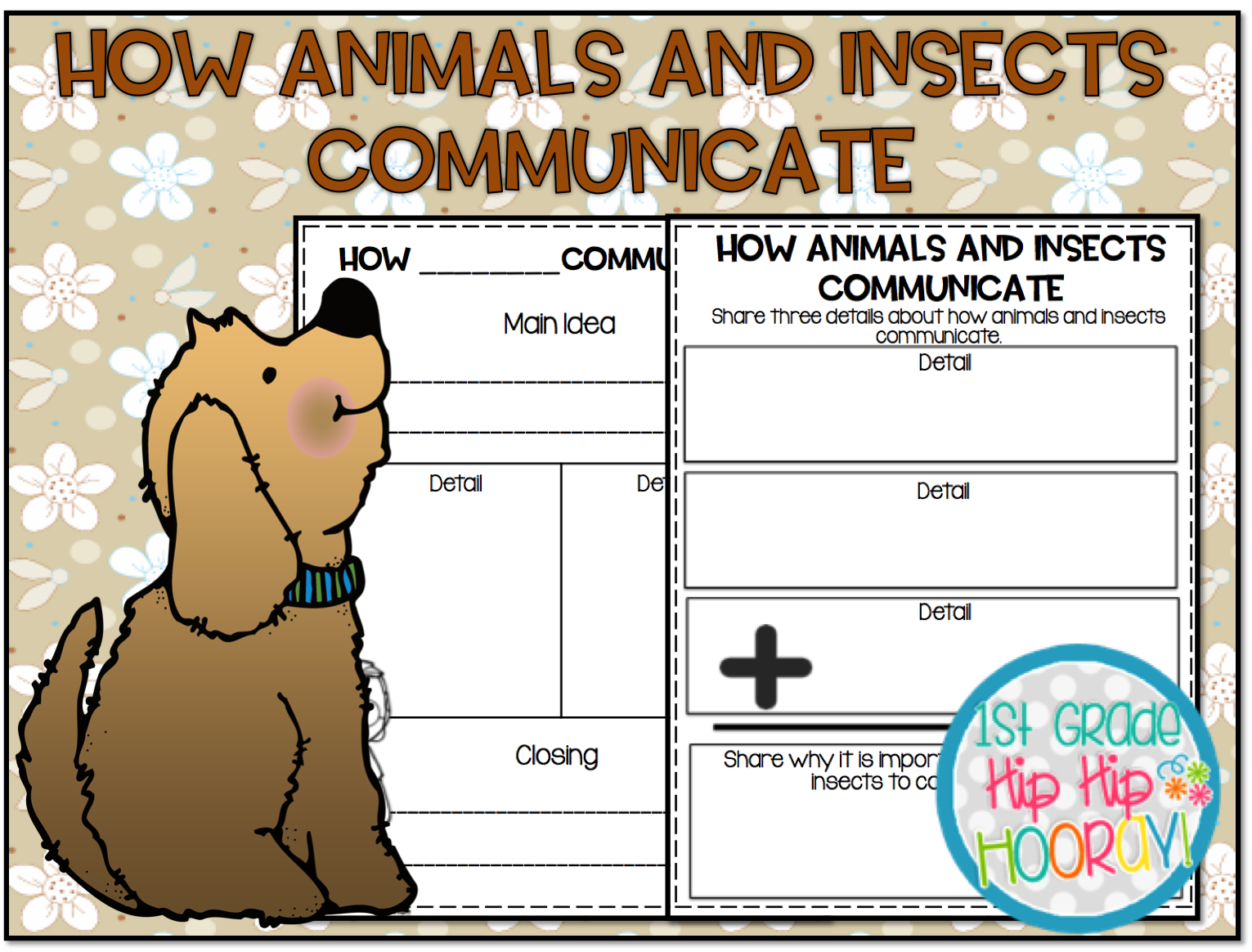 1st Grade Hip Hip Hooray!: How Animals and Insects Communicate! FREEBIE!!