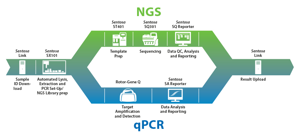 Next Generation Sequencing (NGS) - Phương pháp giải trình tự thế hệ mới ...