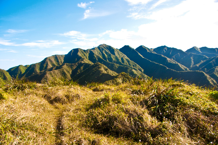 HikeOneHikeAll Hawaii: Aiea Ridge