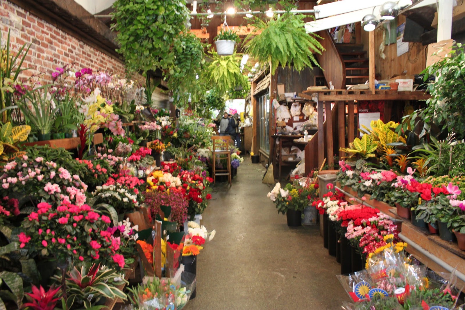 A Lady in Boston : Brattle Square Florist