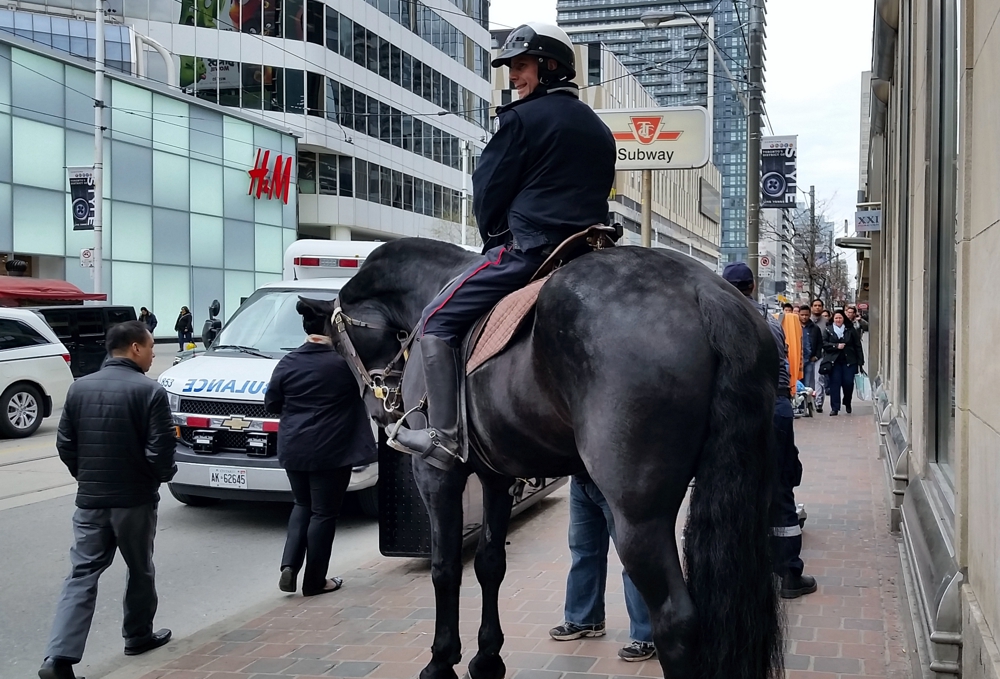 Toronto Grand Prix Tourist - A Toronto Blog: Friendly Mounted Police ...