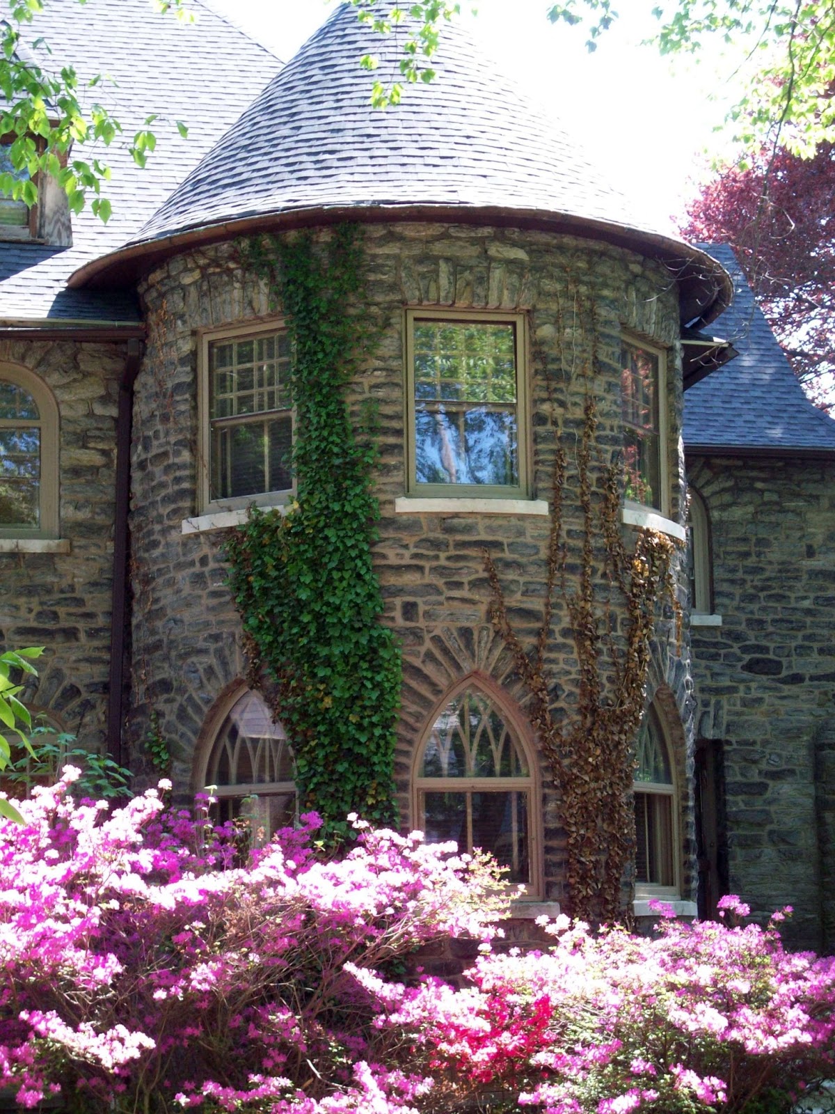 McGahey's McMusings: Philadelphia's Overbrook Farms and Historic ...