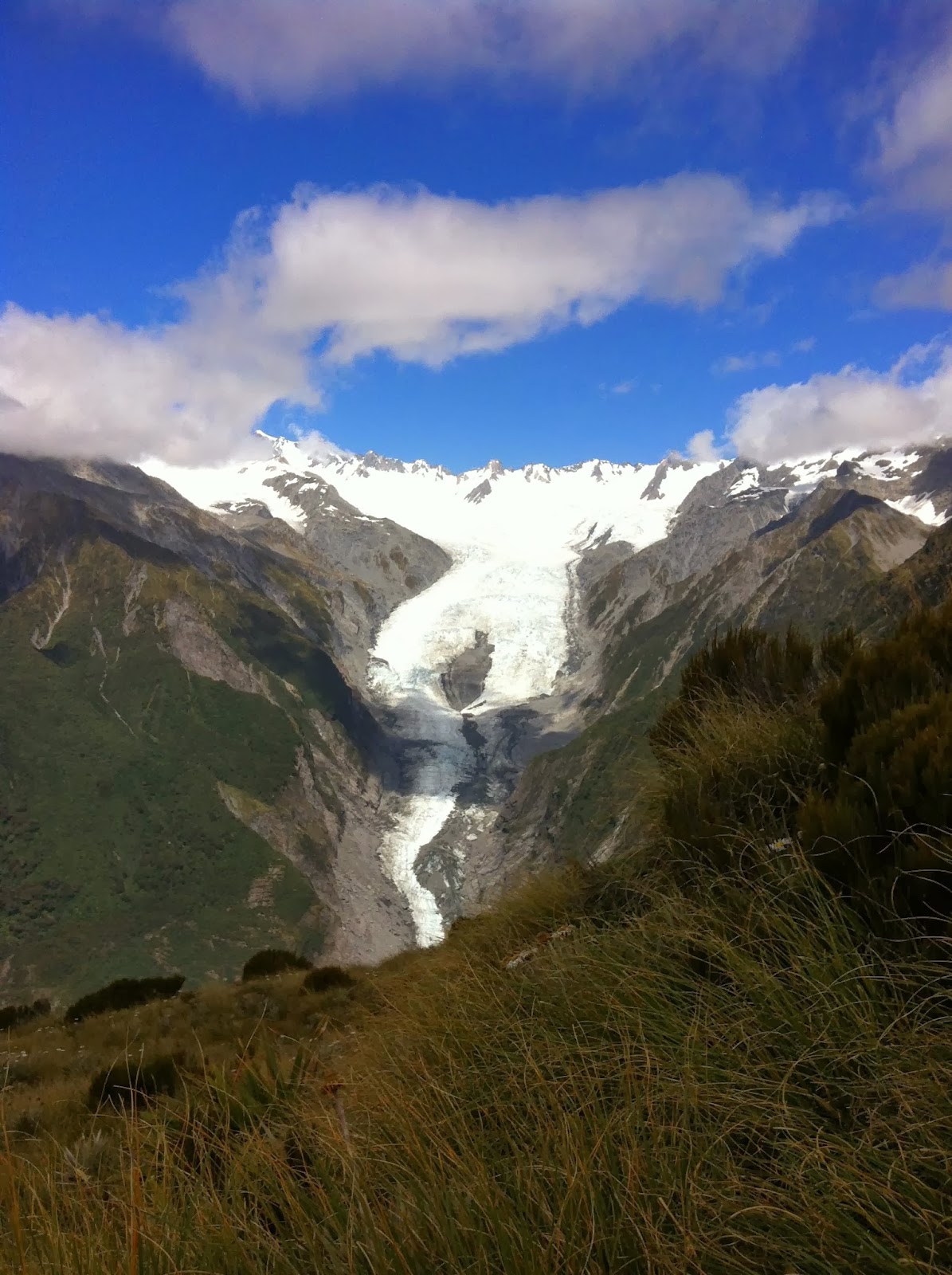 reserealism: tackar bugar och bockar