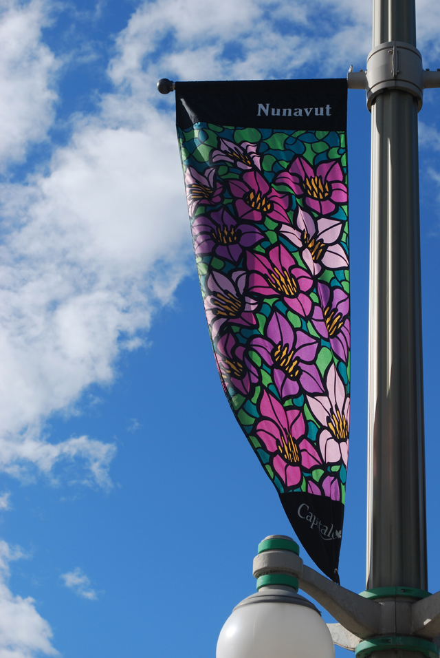 Rosie Simons Graphic and Surface Design: Pattern Inspiration - Canadian ...