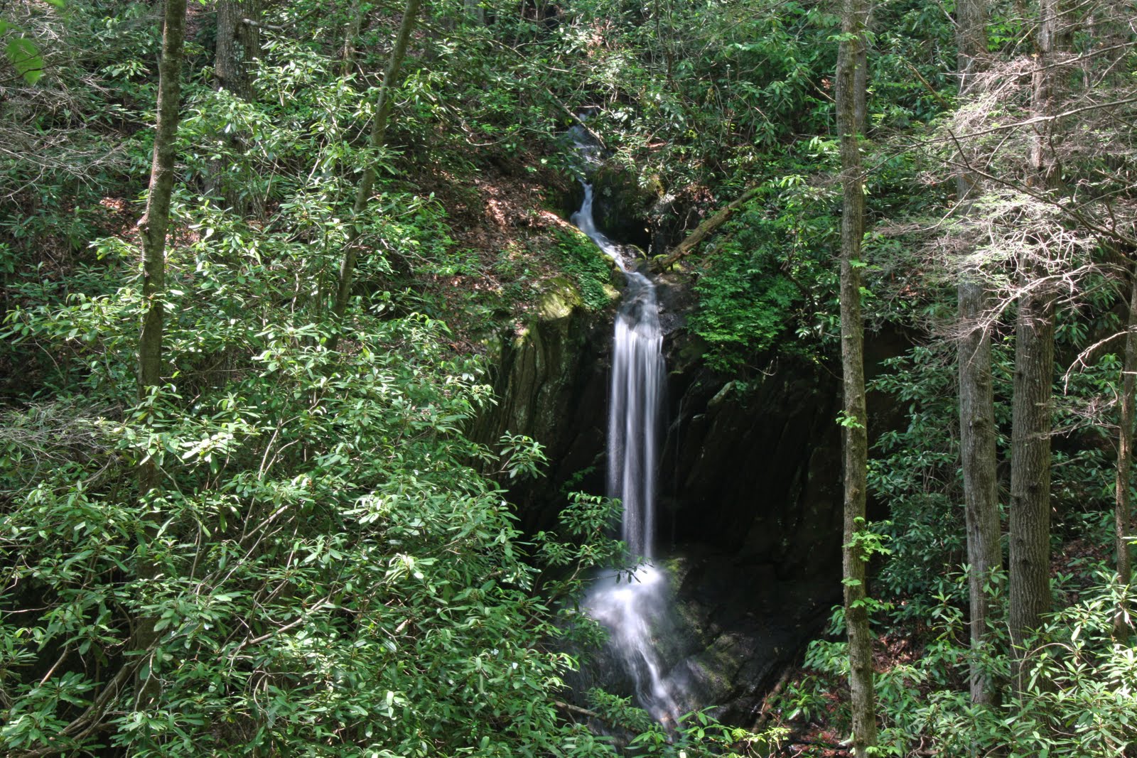 The Adventures of Bushwhack Jack: Hemlock Falls - Moccasin Creek State Park