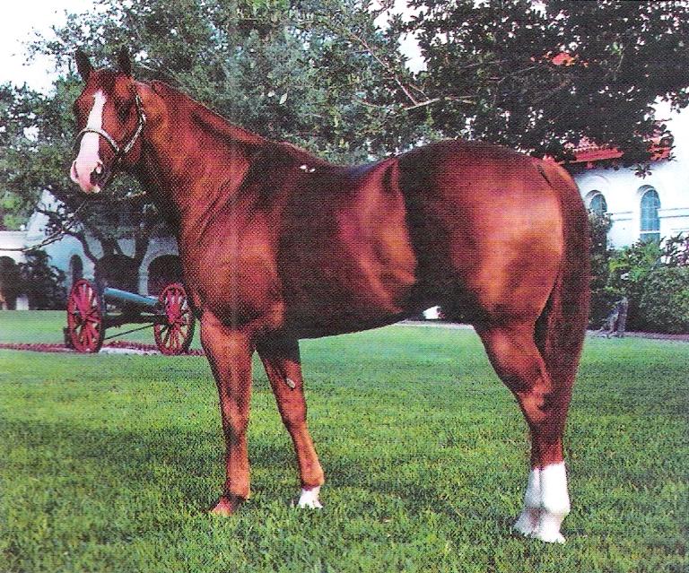 Cavalos que fizeram História: Peppy San Badger (Little Peppy) - 1977