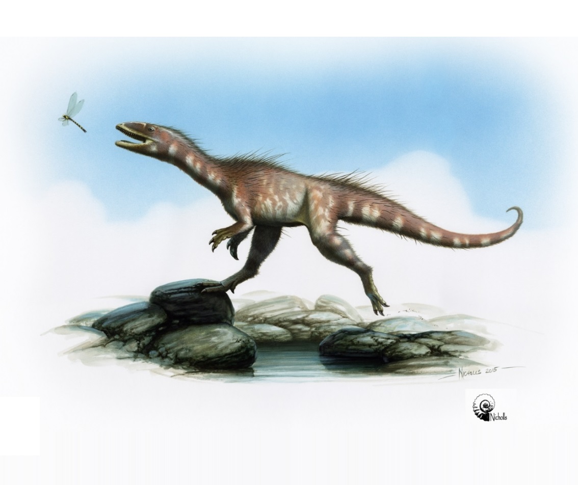 Species New to Science: [Paleontology • 2016] Dracoraptor hanigani ...