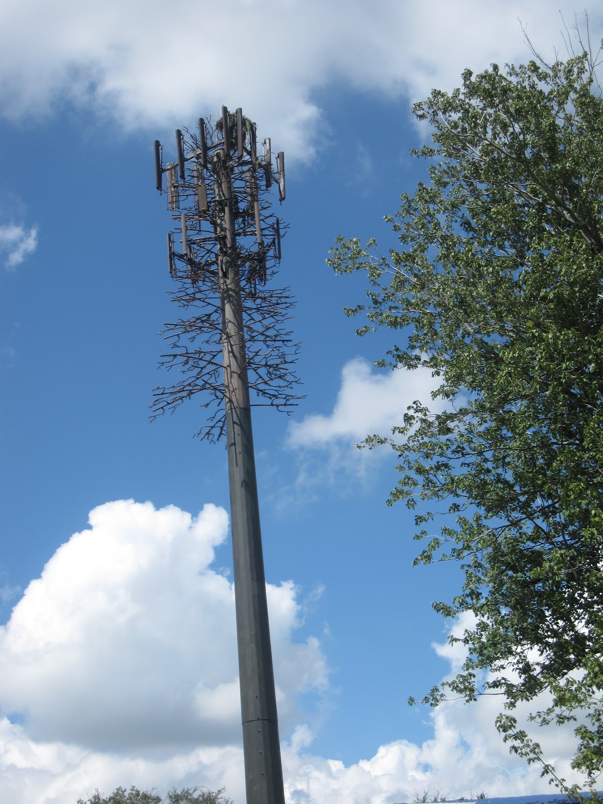 Cutting Circles: Worst Hidden Cell Phone Tower...EVER!
