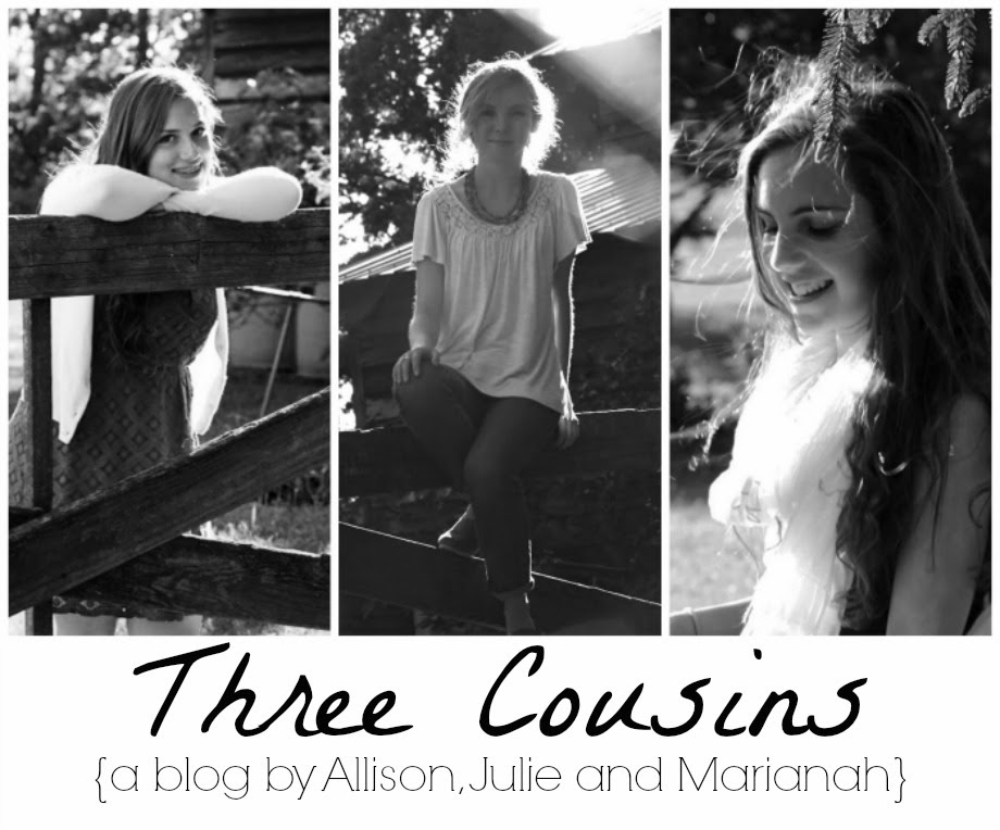 Three Cousins: January 1, 2012