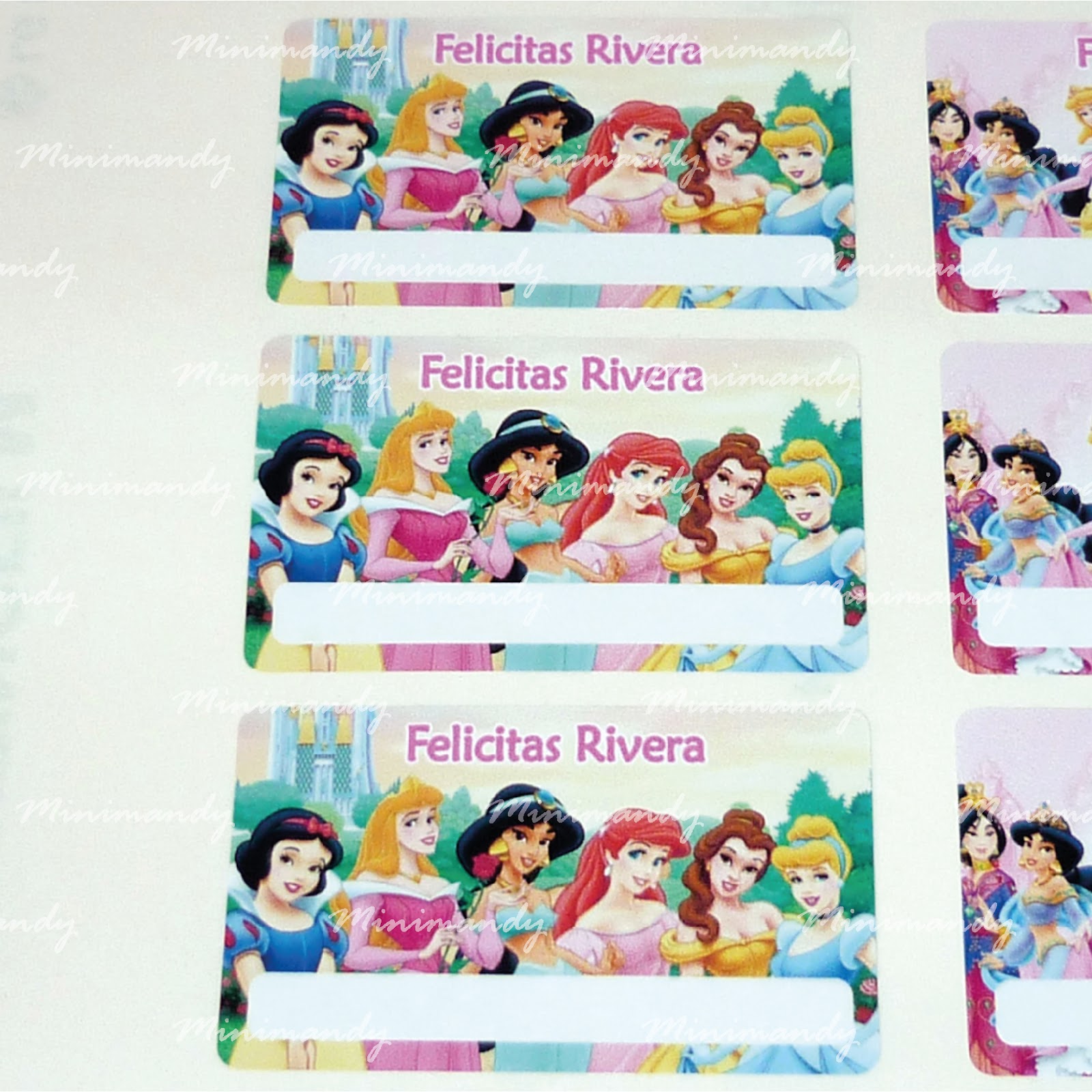 MinimandySign: Adhesivos multiuso - Etiquetas escolares - Princesas Disney