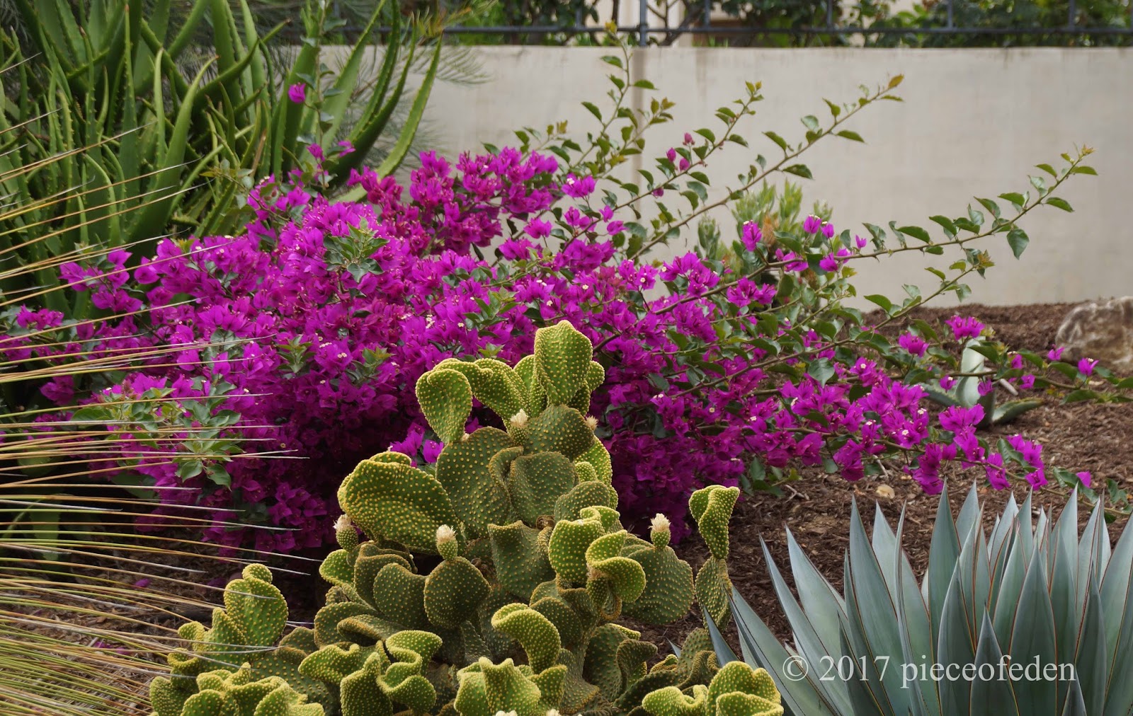 The Oldest Plants In The Garden