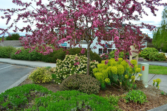 Linda Letters:: Lovely Langley