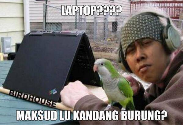 15 Meme 'Burung' Ini Bikin Berpikir yang Iya-iya - Lucu.ME - Gambar ...