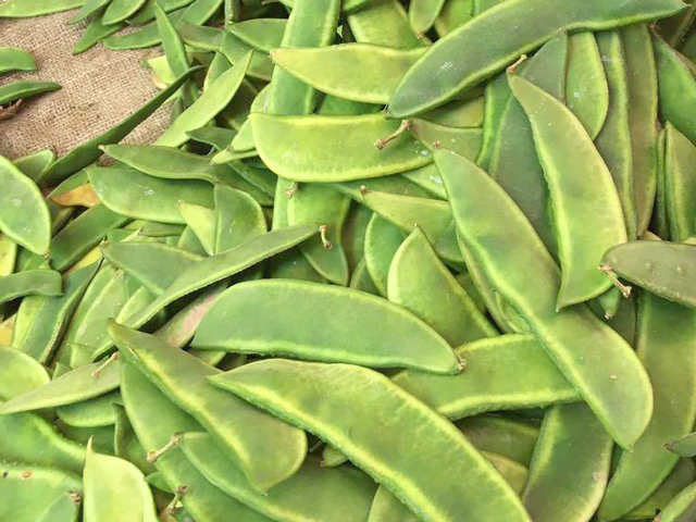 Mercat Central, Valencia, SPAIN - SUGAR LANE