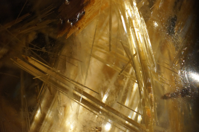 Photographing Gems with a Microscope