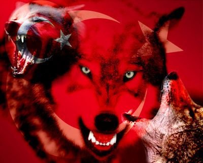 Türk Bayrakları: Kurt Resmi Bulunan Türk Bayrakları