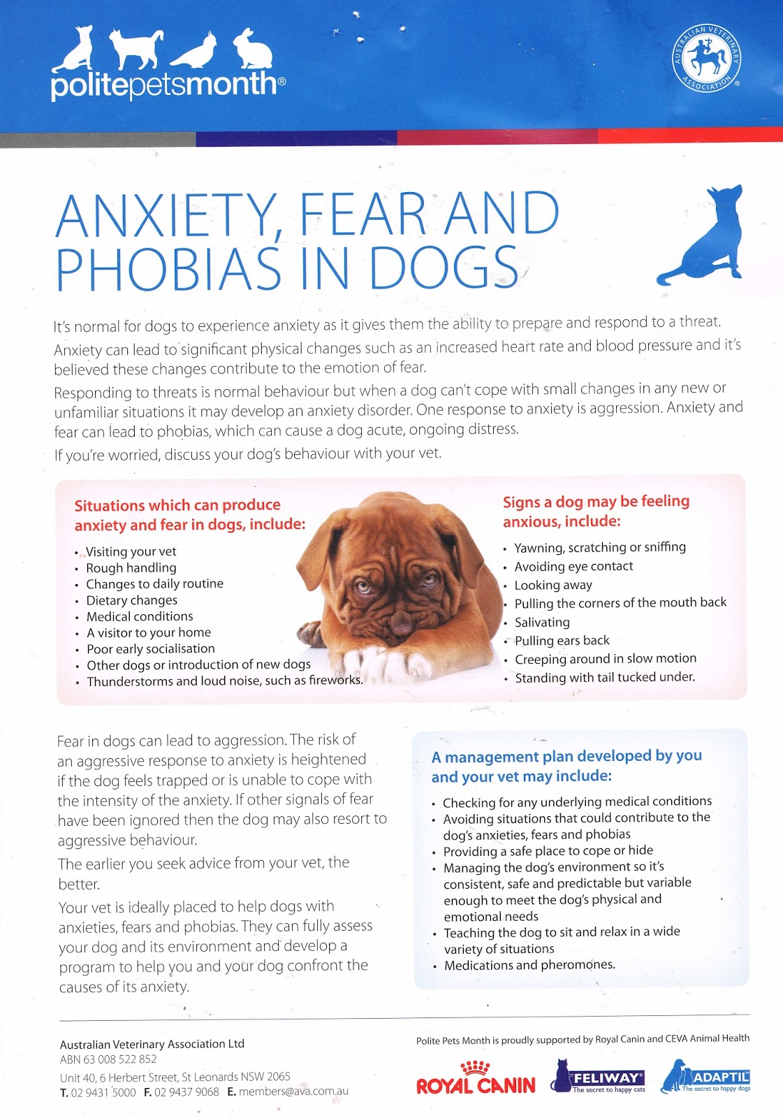 Dr Liz... the mad vet from Russell Vale Animal Clinic: Five things To ...