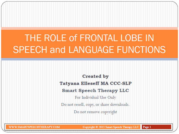 The Speech Bucket: Review: The Role of Frontal Lobe in Speech and ...