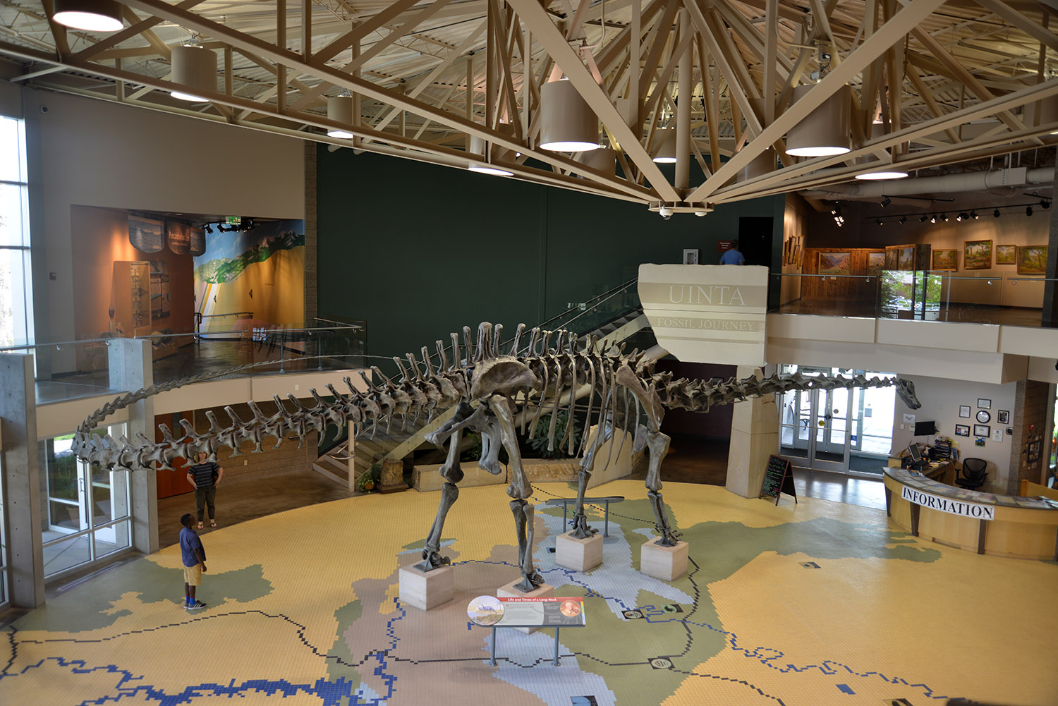 A school of fish: Dinosaur National Monument Field Trip