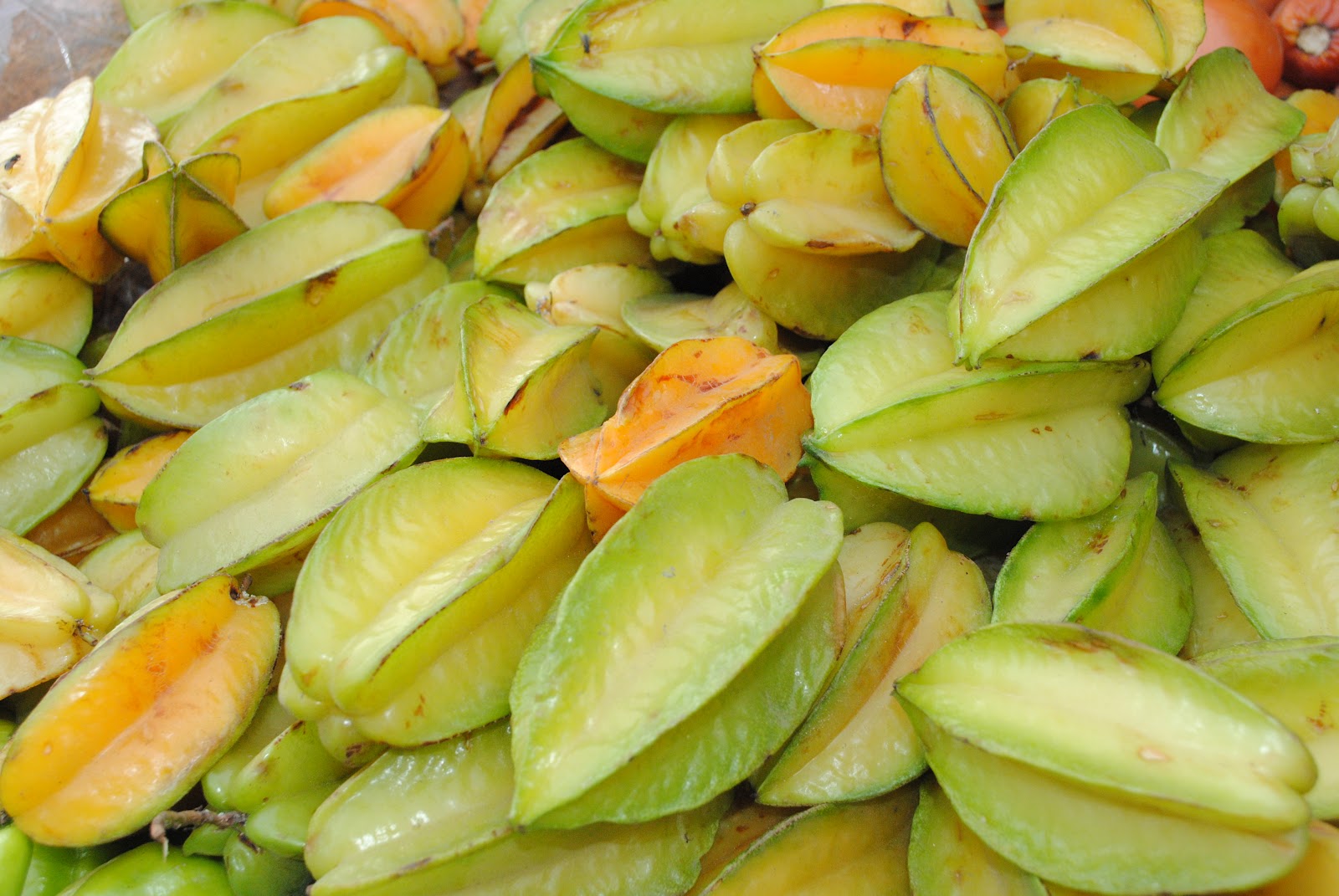 UltimosDias: Cómo comer un torombolo.