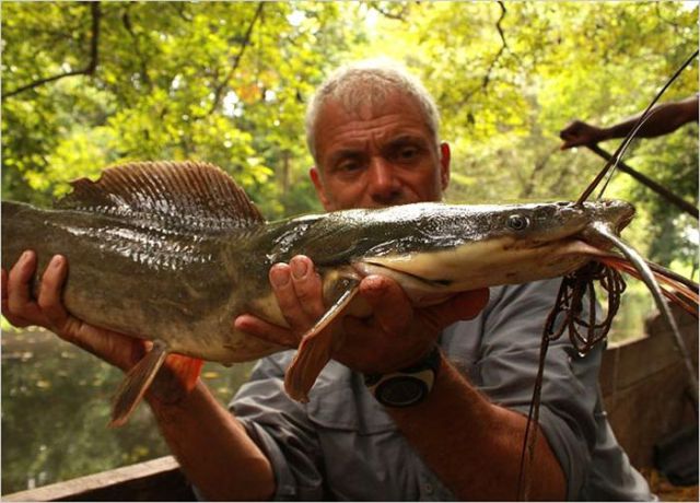 Funny Picture: 10 Most Diabolical & Scariest Fish On Earth at River ...