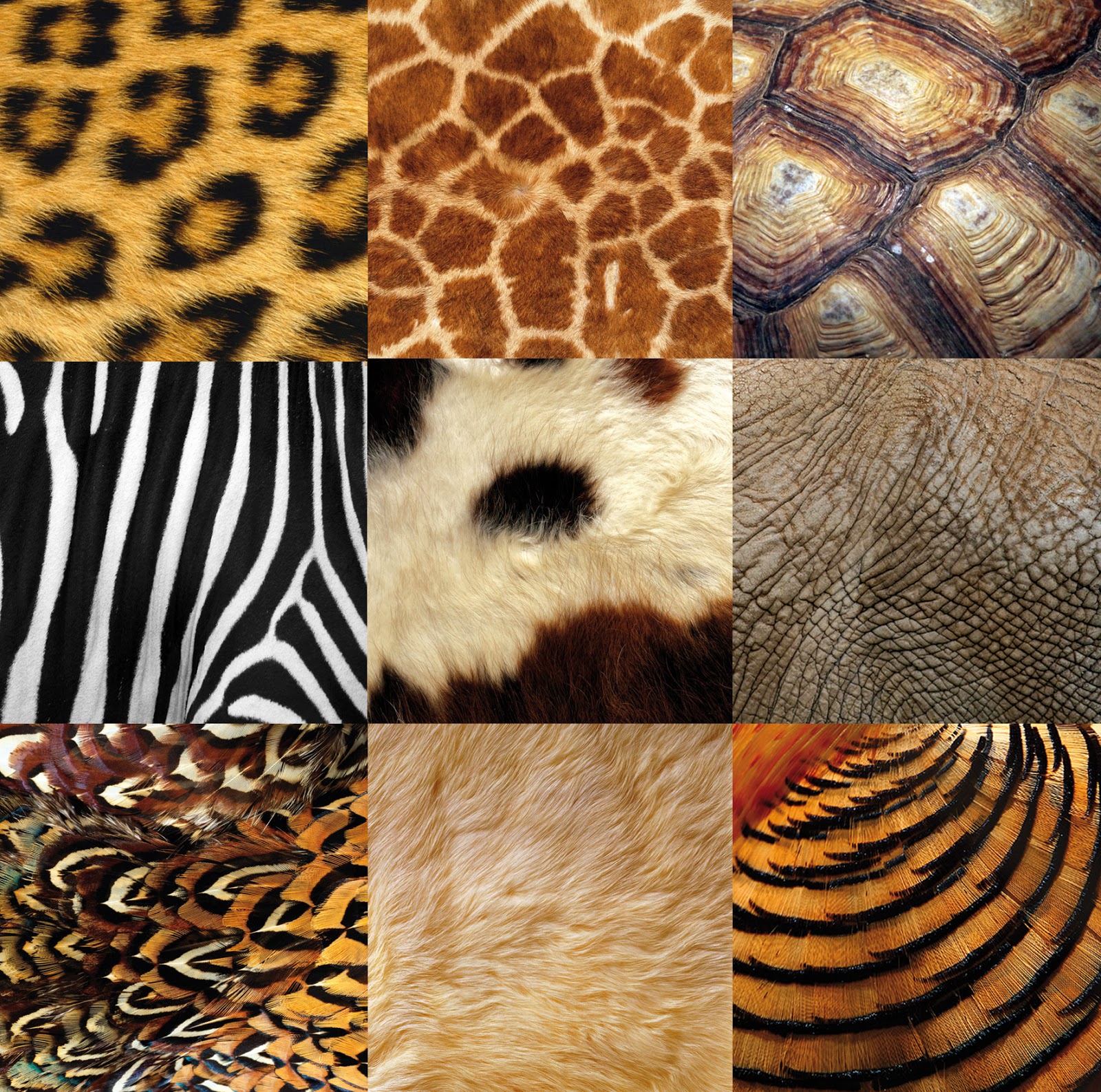 Laboratori Metodo Bruno Munari® e non solo...: TEXTURE