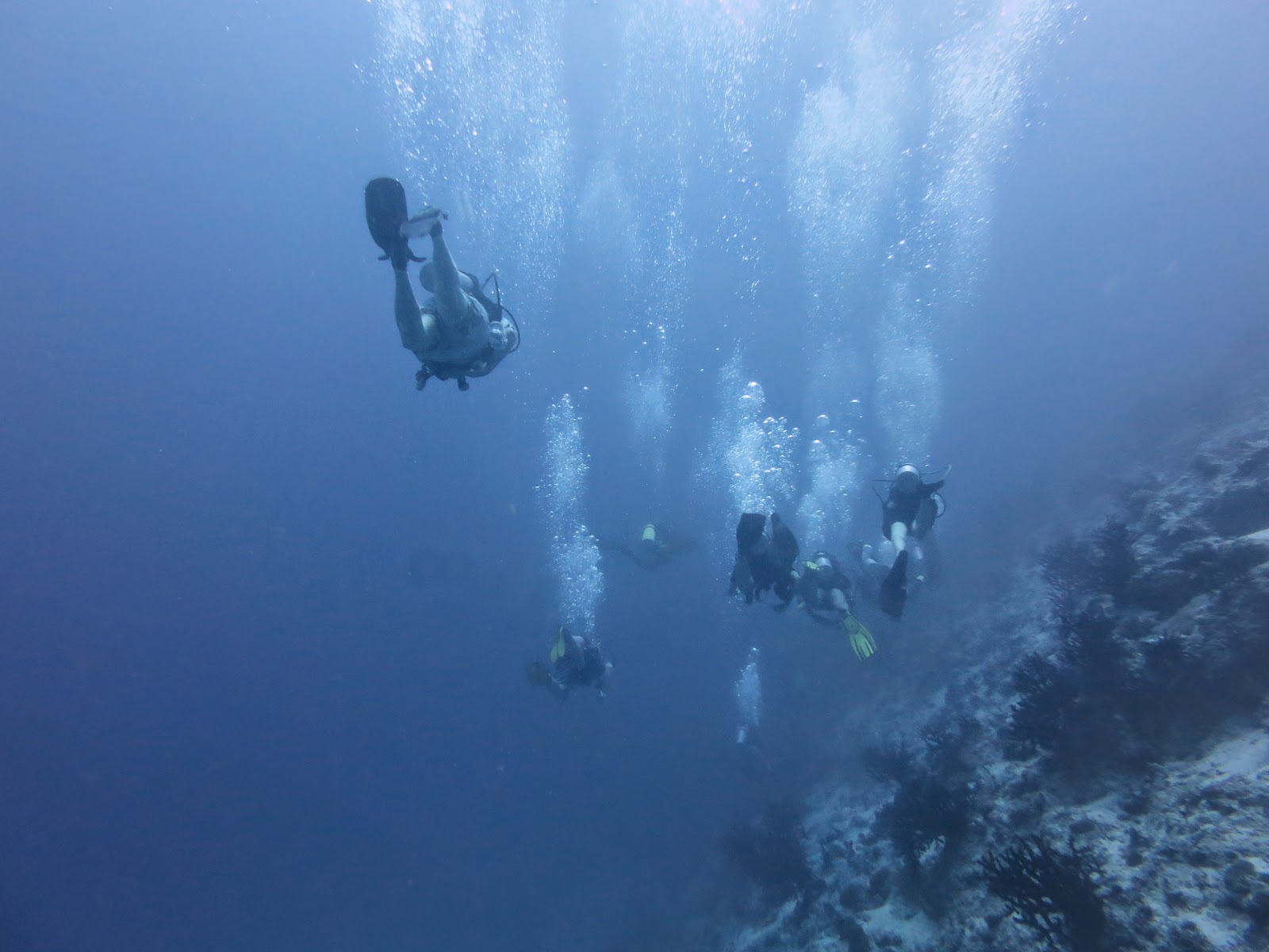 The Escapades of Jam and Lam: Scuba diving the Maldives