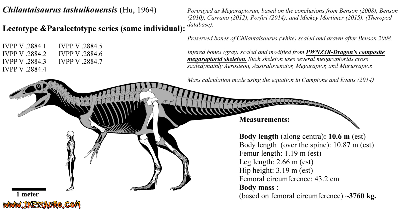 Chilantaisaurus | Ikessauro