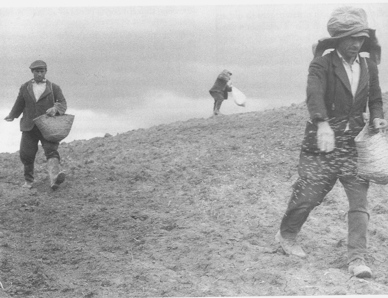 Dalla Terra dei Santoni: La semina a mano