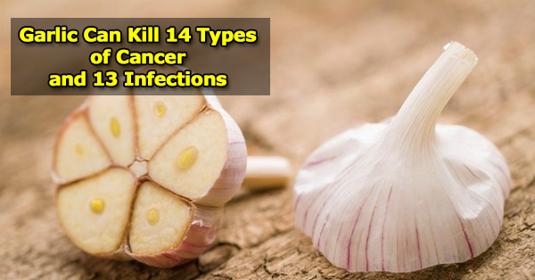 Garlic Can Kill 14 Types Of Cancer And 13 Infections - Anaqa