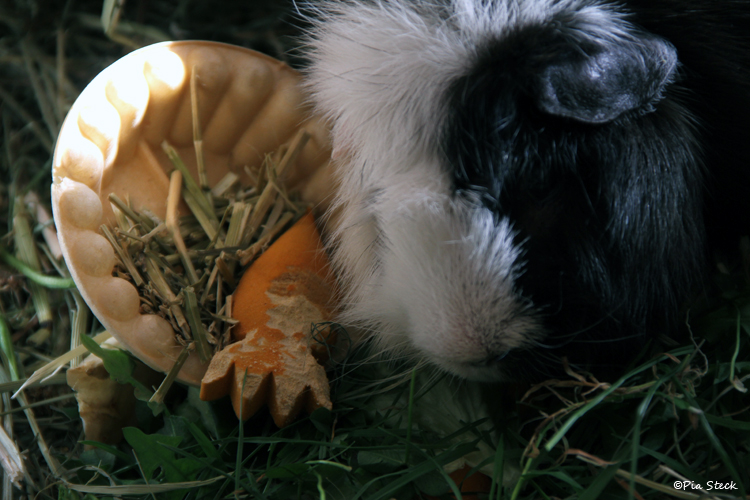 SichtBar: A birthday, the first snow and a little lie