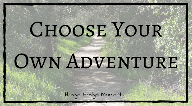 Choose Your Own Adventure | Hodge Podge Moments