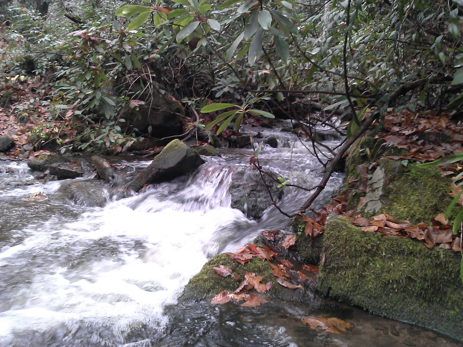 Hikes: Thomas Divide - Sunkota Ridge - Martins Gap - Indian Creek ...