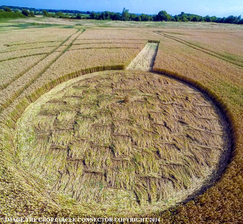 Augureye Express: 2014 Crop Circle Gallery