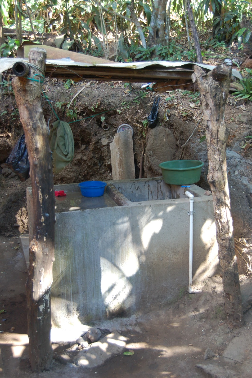 Not all who wander are lost: Celebration in Alejandría