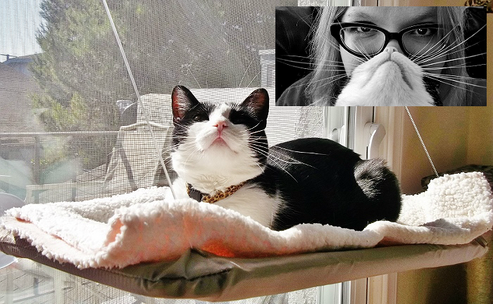 Time Out For Truffles: Cat Bearding Champions!