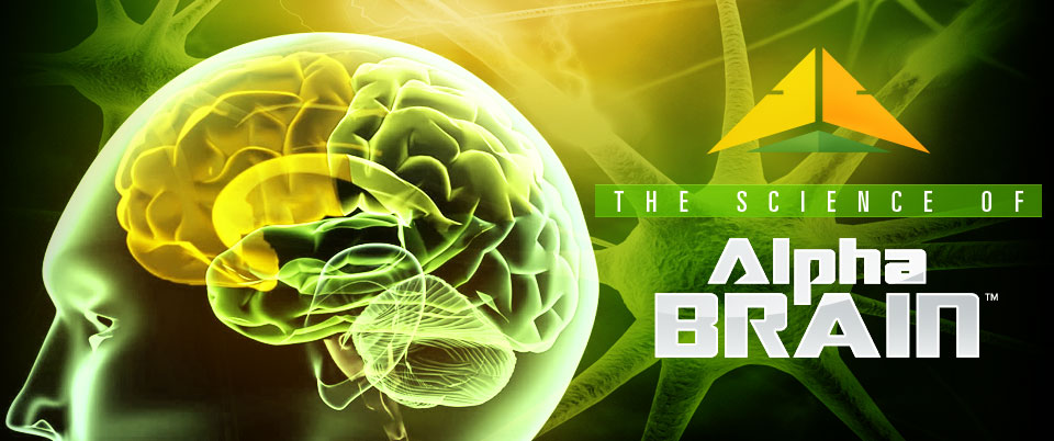 Get Healthy Blog: Alpha Brain for Mental Dominance