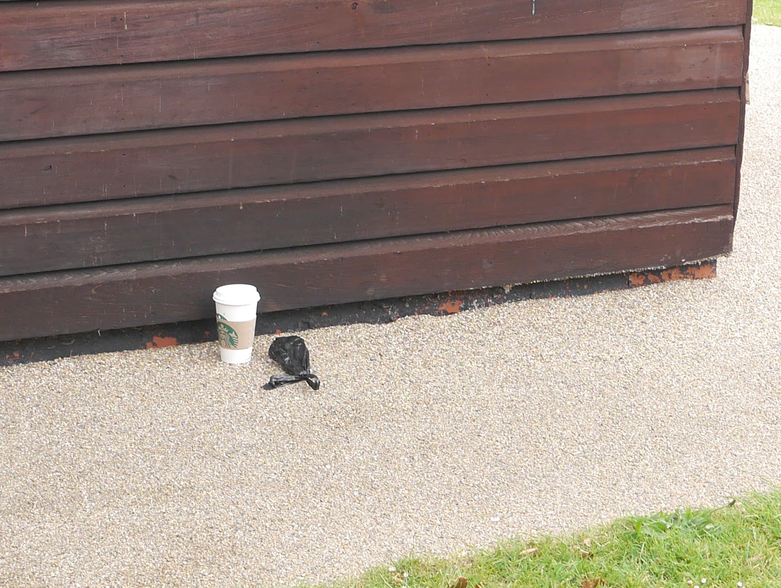 and Millie makes three: Remenham Farm Moorings (River Thames) – Friday ...