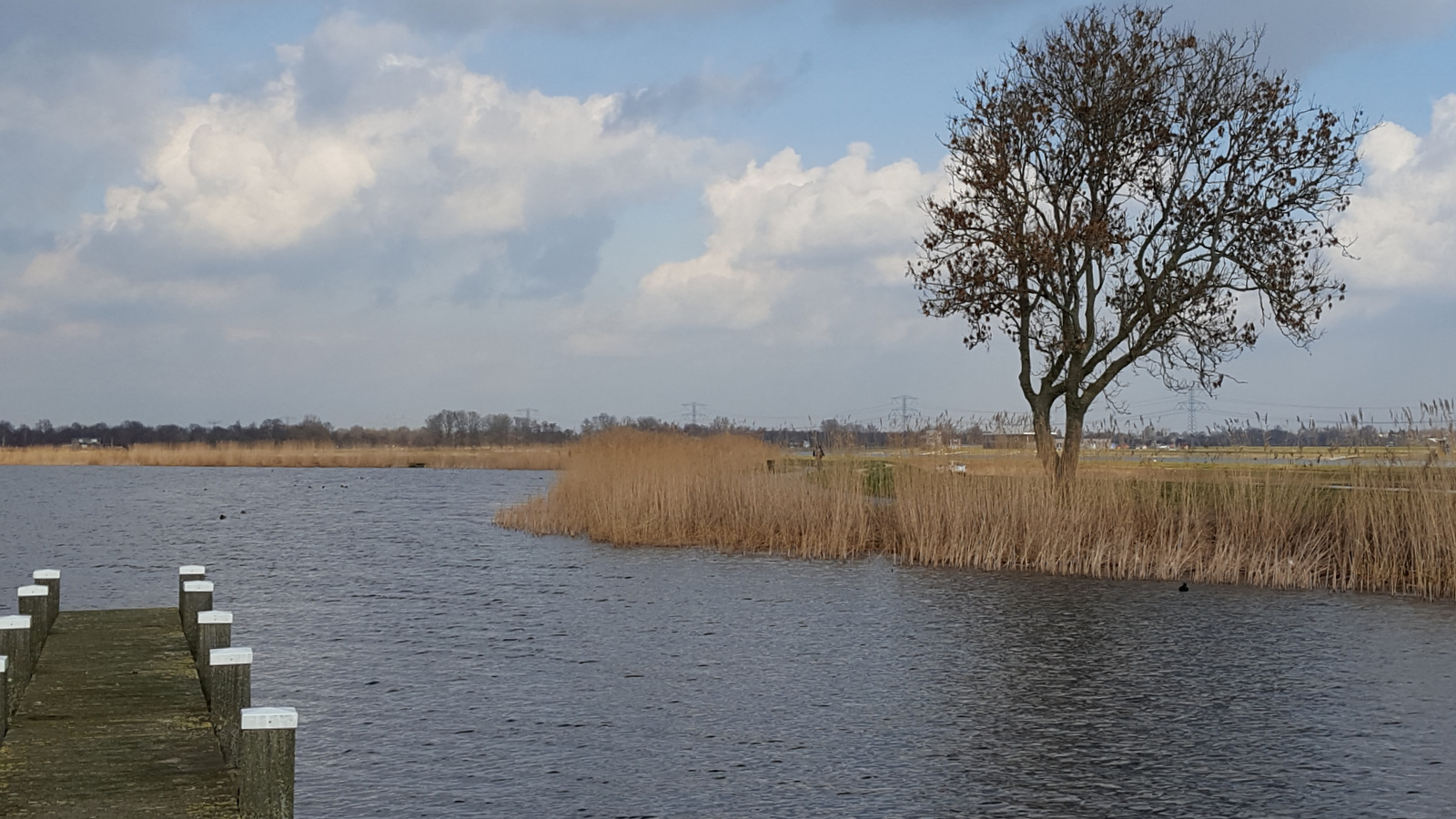 Het Bloeiende Buitenleven: NEDERLAND WATERLAND - THE NETHERLANDS WATER ...