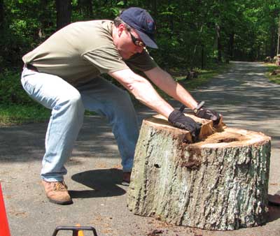 Gurney Journey: How to make a rustic stump planter