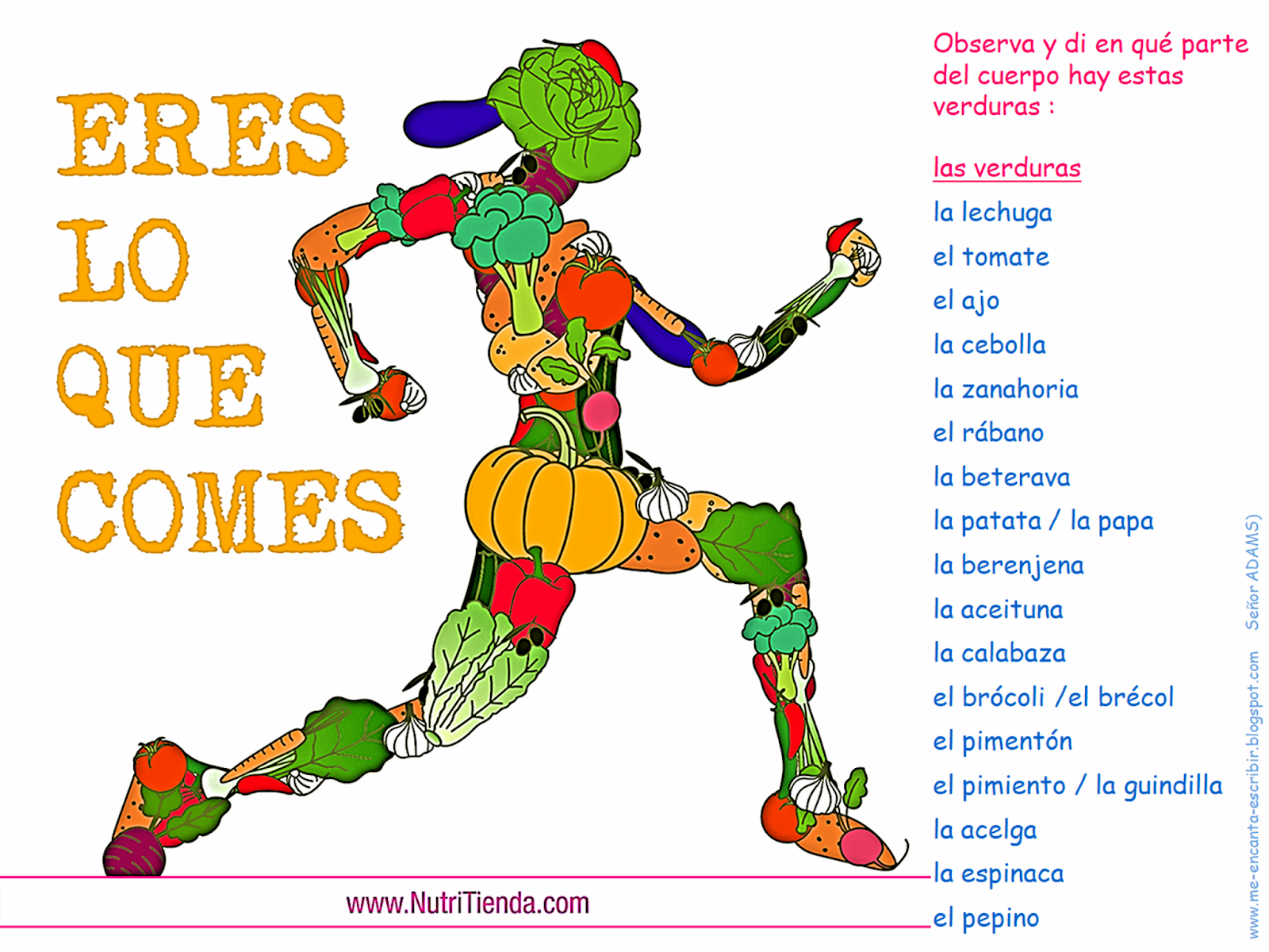Me encanta escribir en español: "Eres lo que comes" - Las verduras y ...