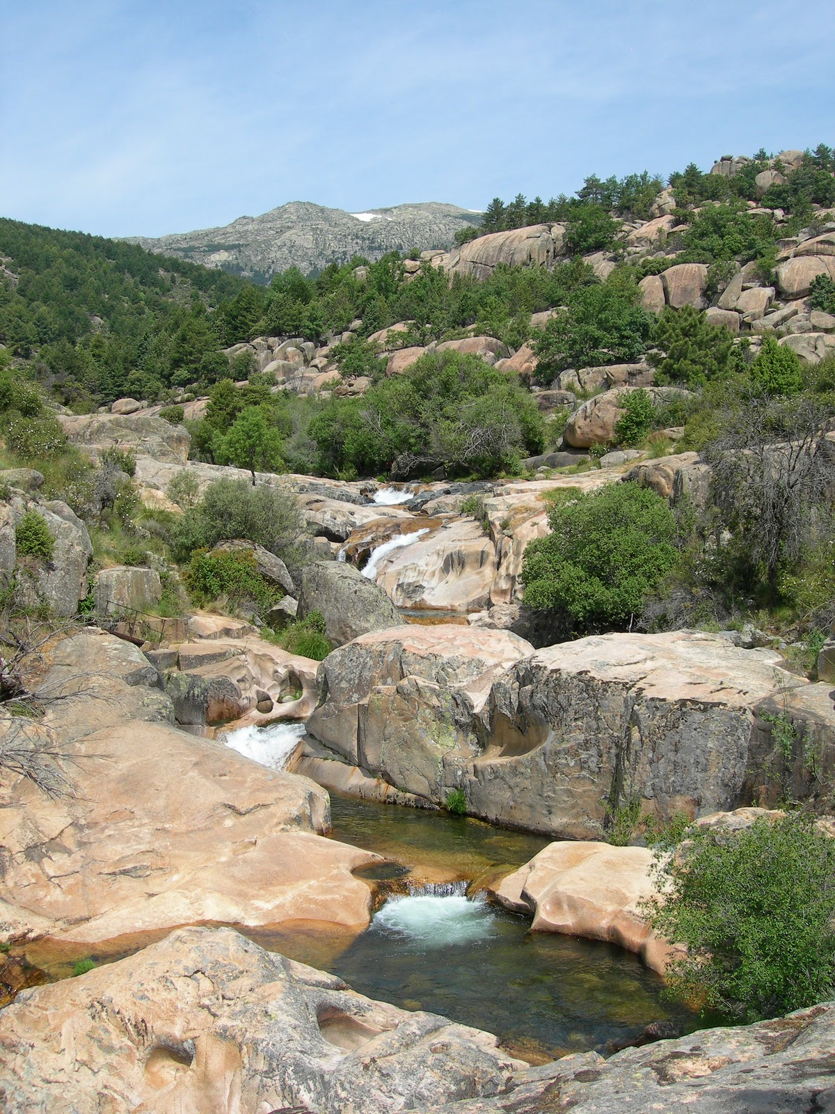 PARQUE REGIONAL DE LA CUENCA ALTA DEL MANZANARES | ESPAÑA EN COLOR