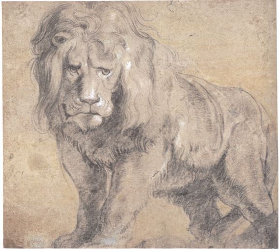 bensozia: Peter Paul Rubens: Drawings