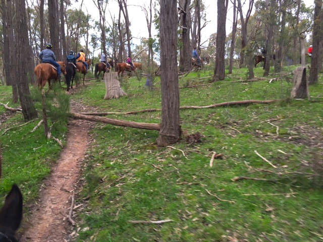 RDO Melbourne: Uncle Nev's Trail Rides, Upper Plenty